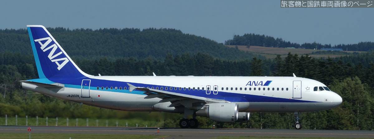 ANA JA202A の写真です