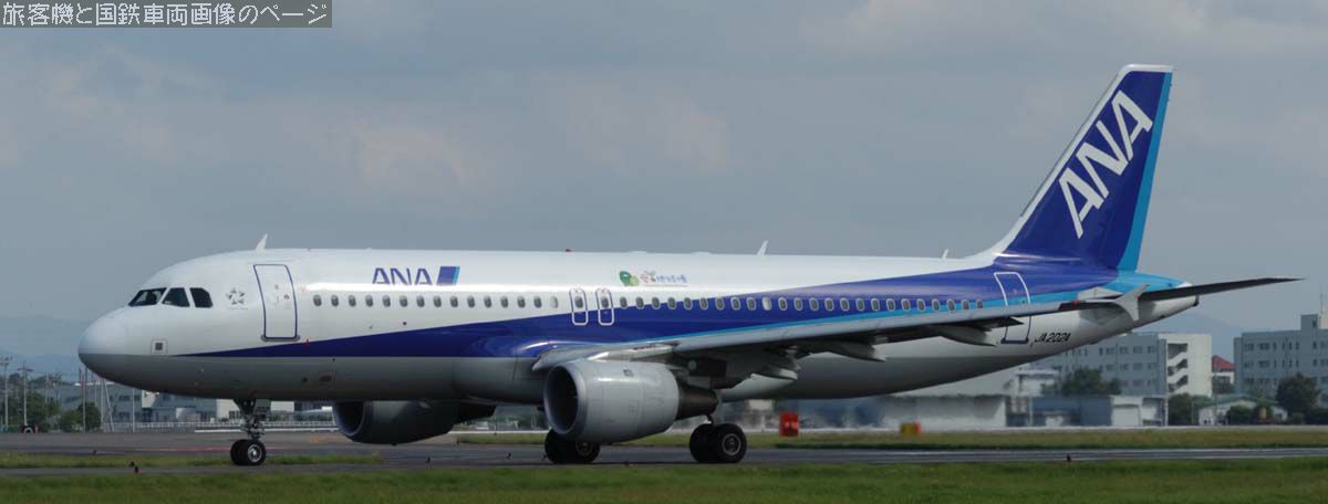 ANA JA202A の写真です