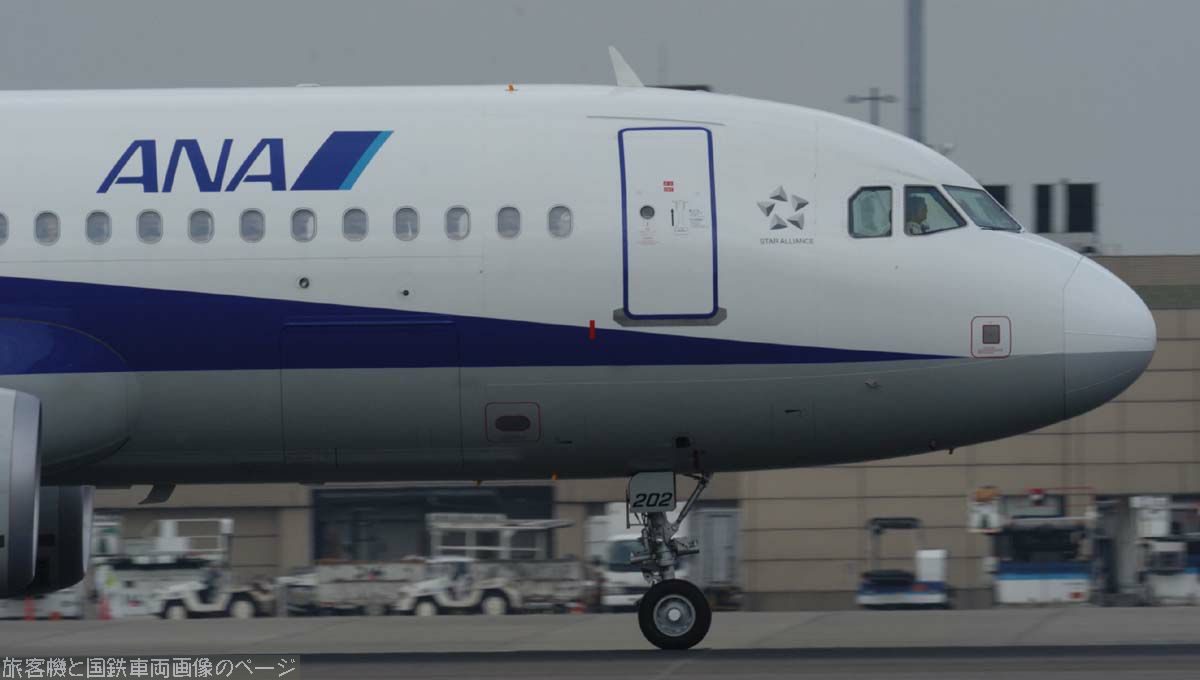 ANA JA202A の写真です