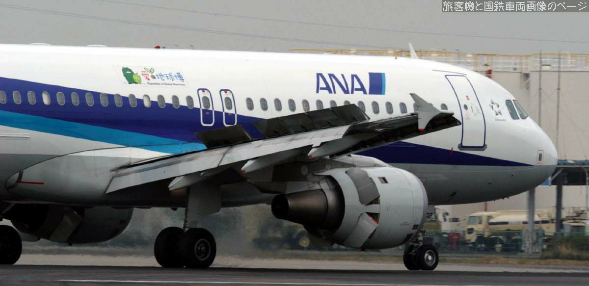 ANA JA202A の写真です