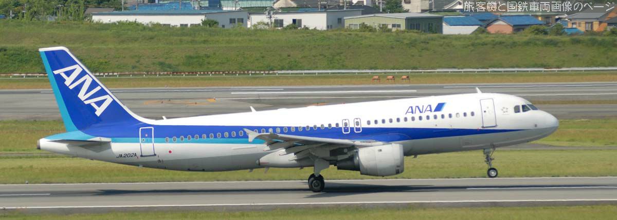ANA JA202A の写真です