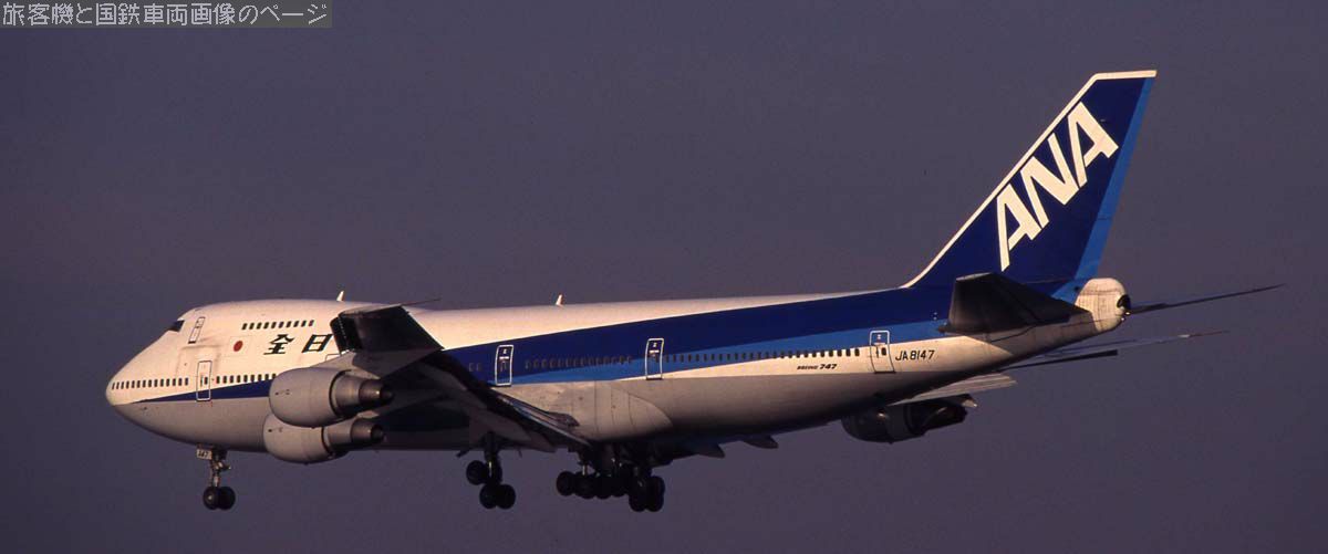 ANA JA8147 の写真です