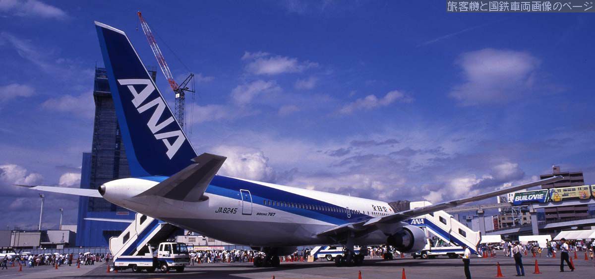 ANA JA8245 の写真です