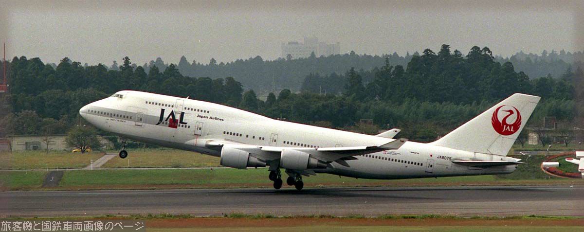 日本航空 JA8075 の写真です