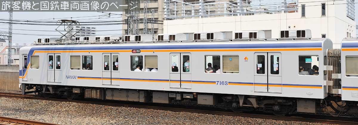 南海電鉄 7163 の写真です