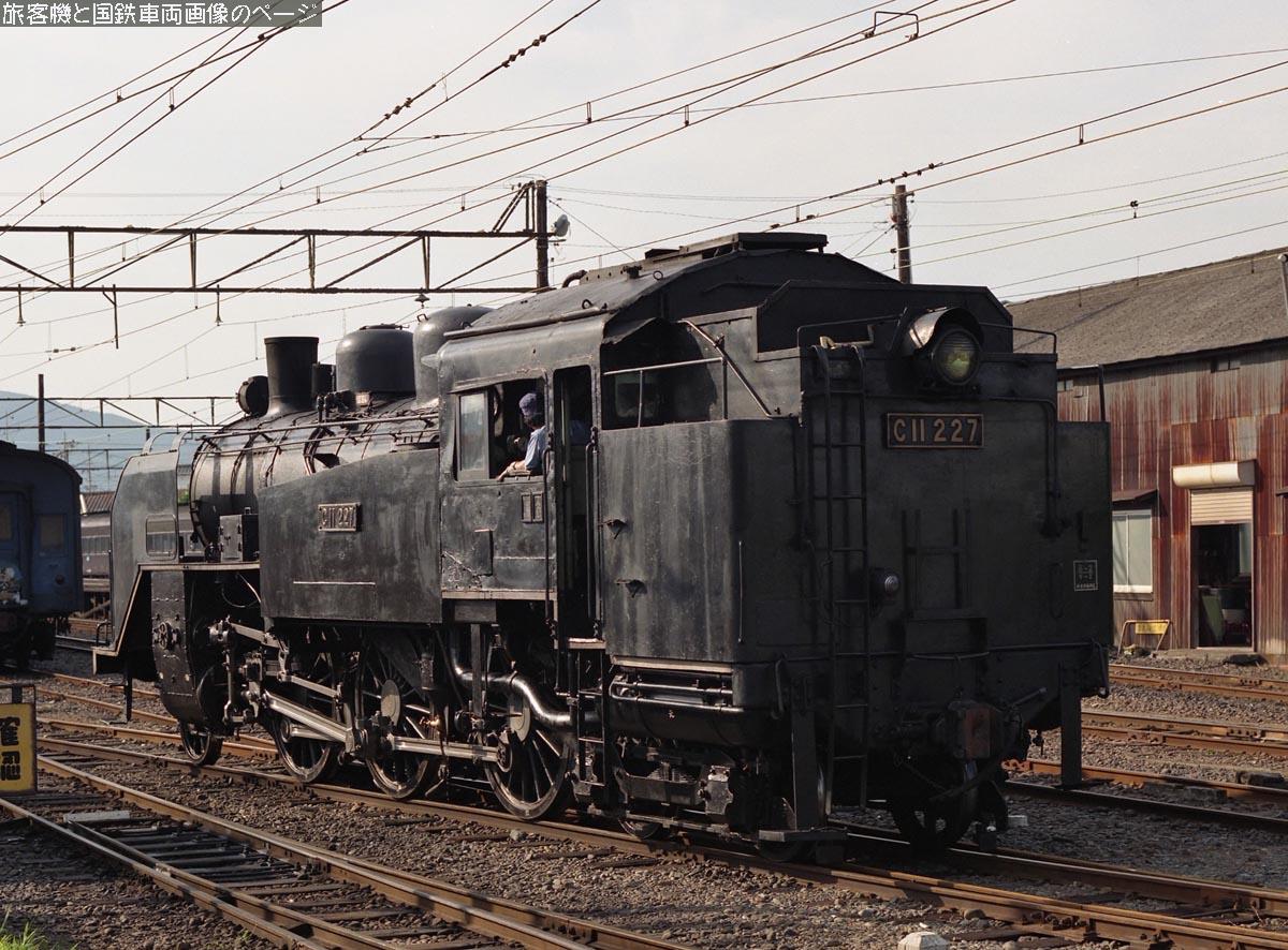 大井川鉄道 C11 227 の写真です