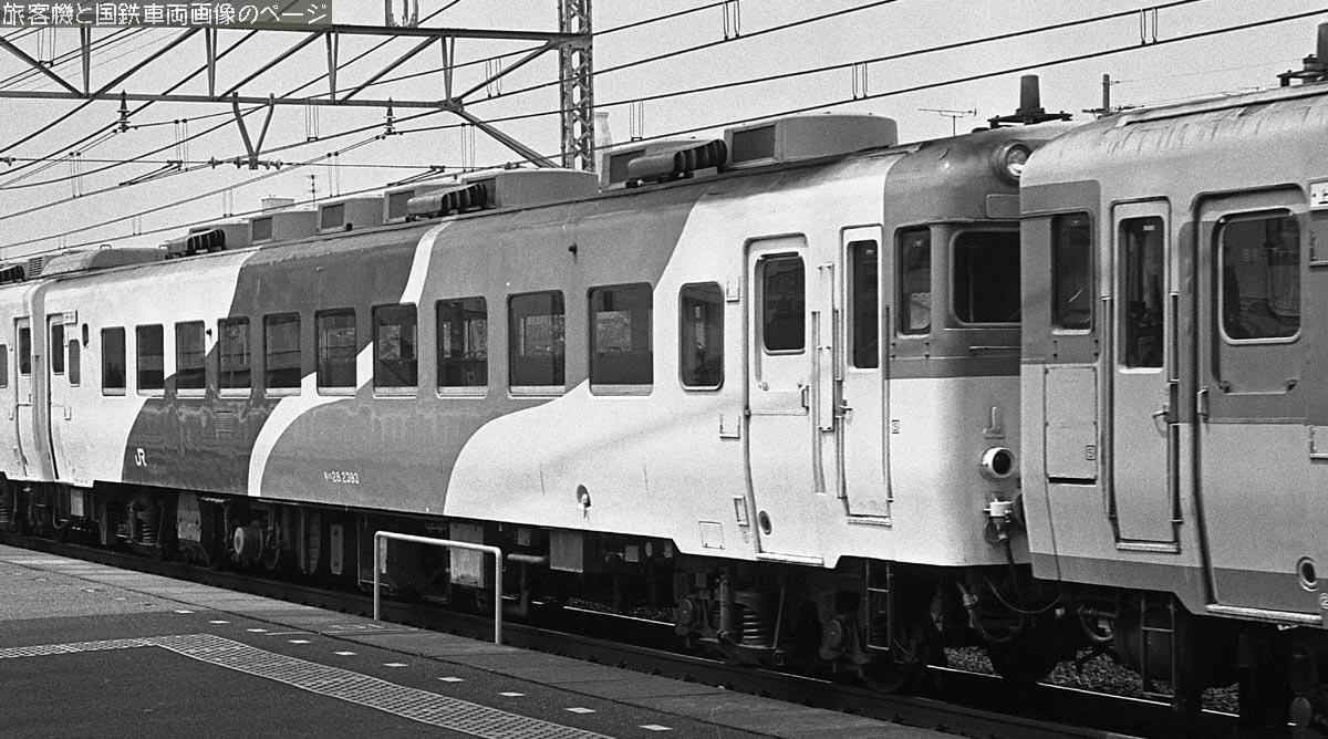 キハ28 2393の画像です