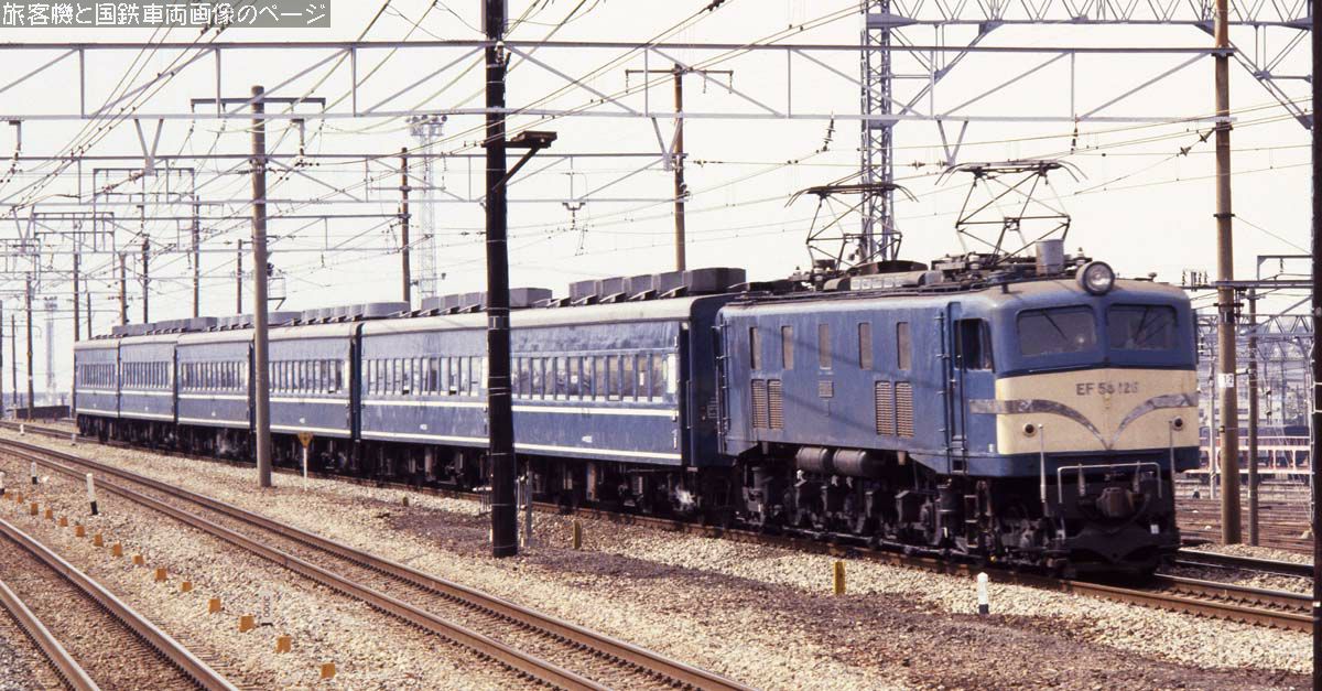 EF58 126 の画像です