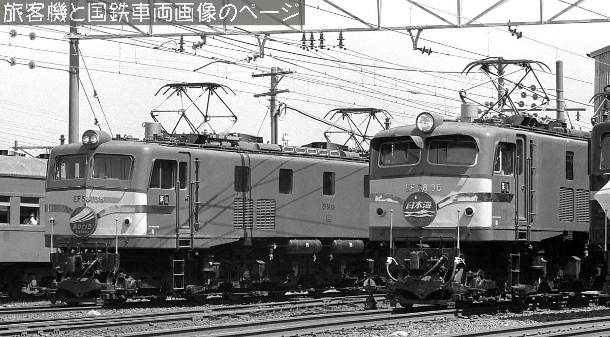 EF58 36 の画像です