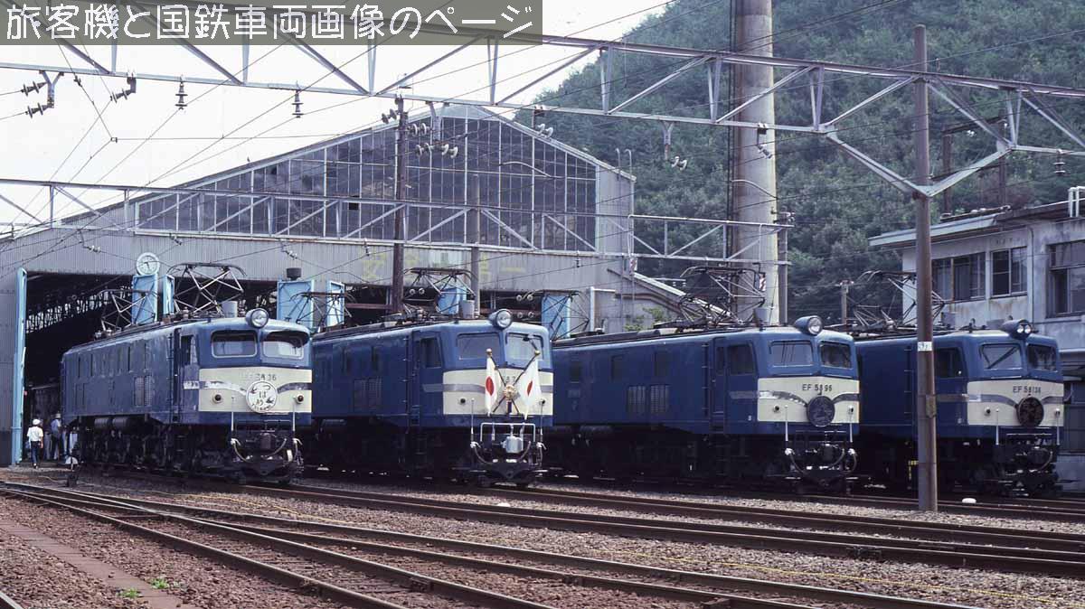 EF58 36 の画像です