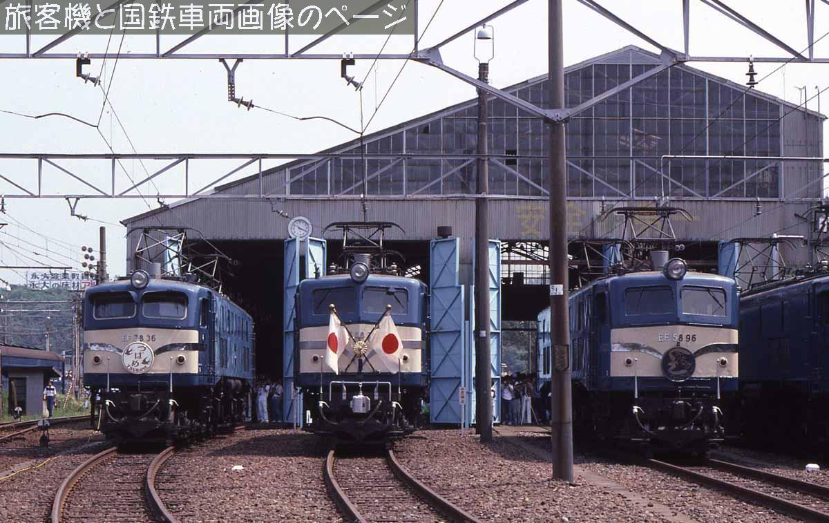 EF58 36 の画像です