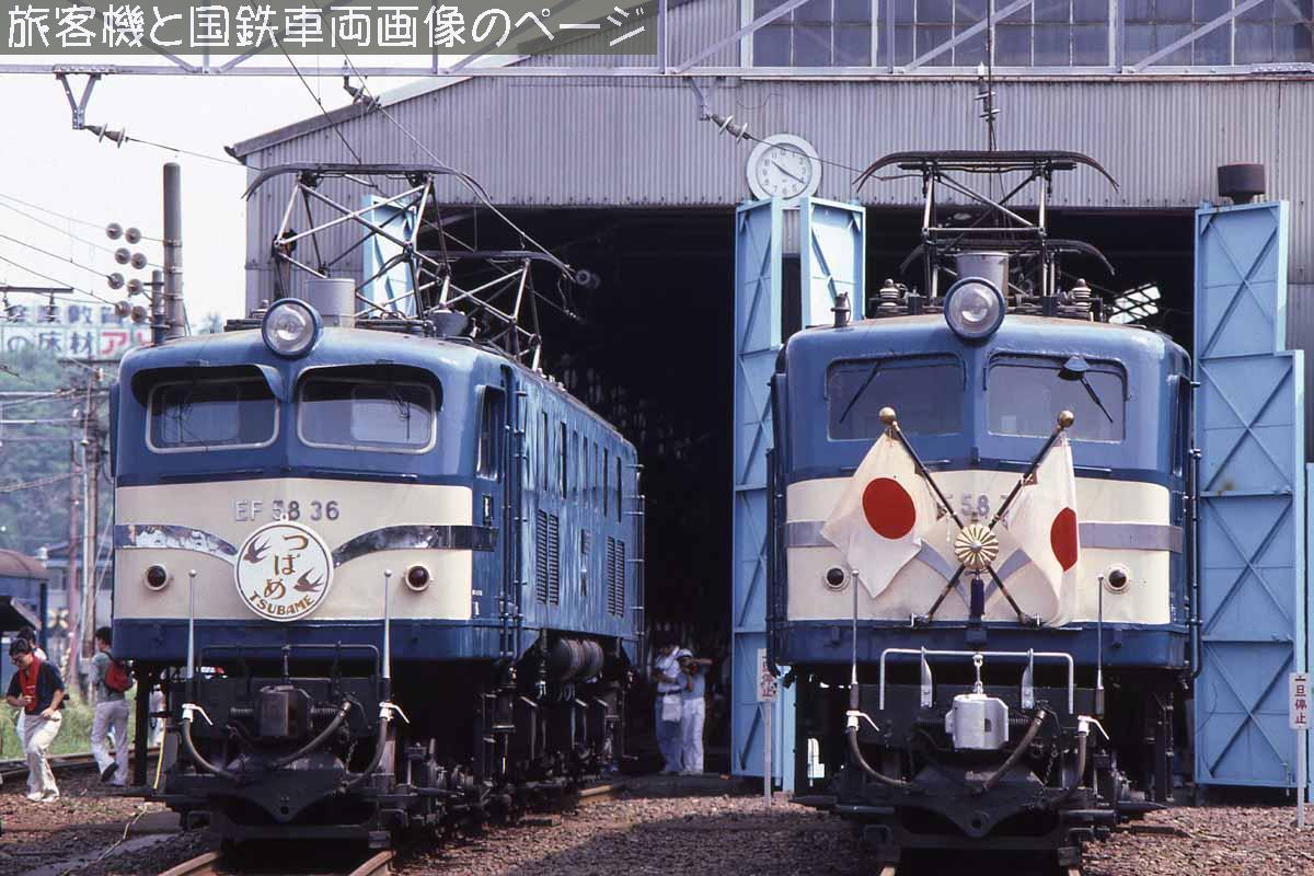 EF58 36 の画像です