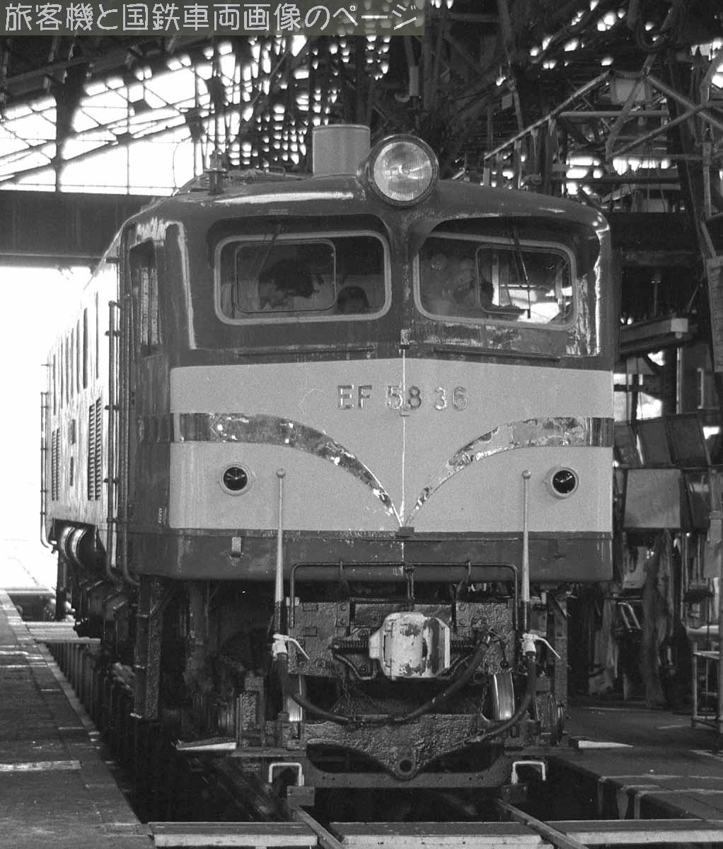 EF58 36 の画像です