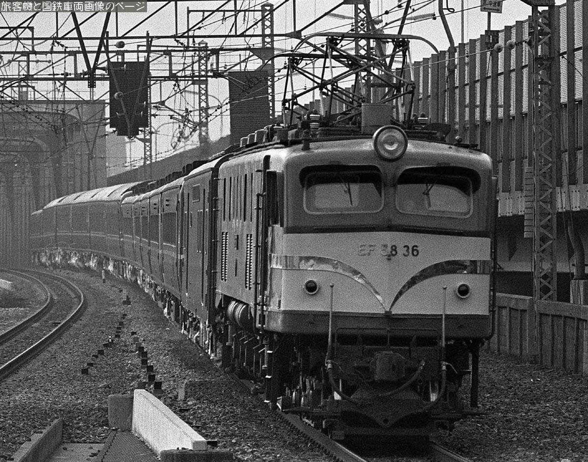 EF58 36 の画像です