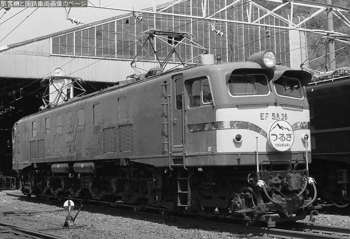 EF58 36 の画像です
