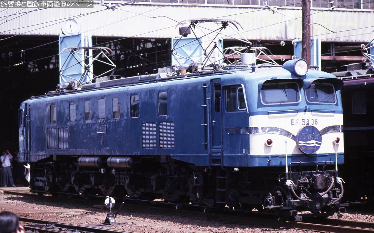 EF58 36 の画像です