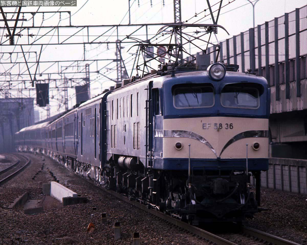 EF58 36 の画像です