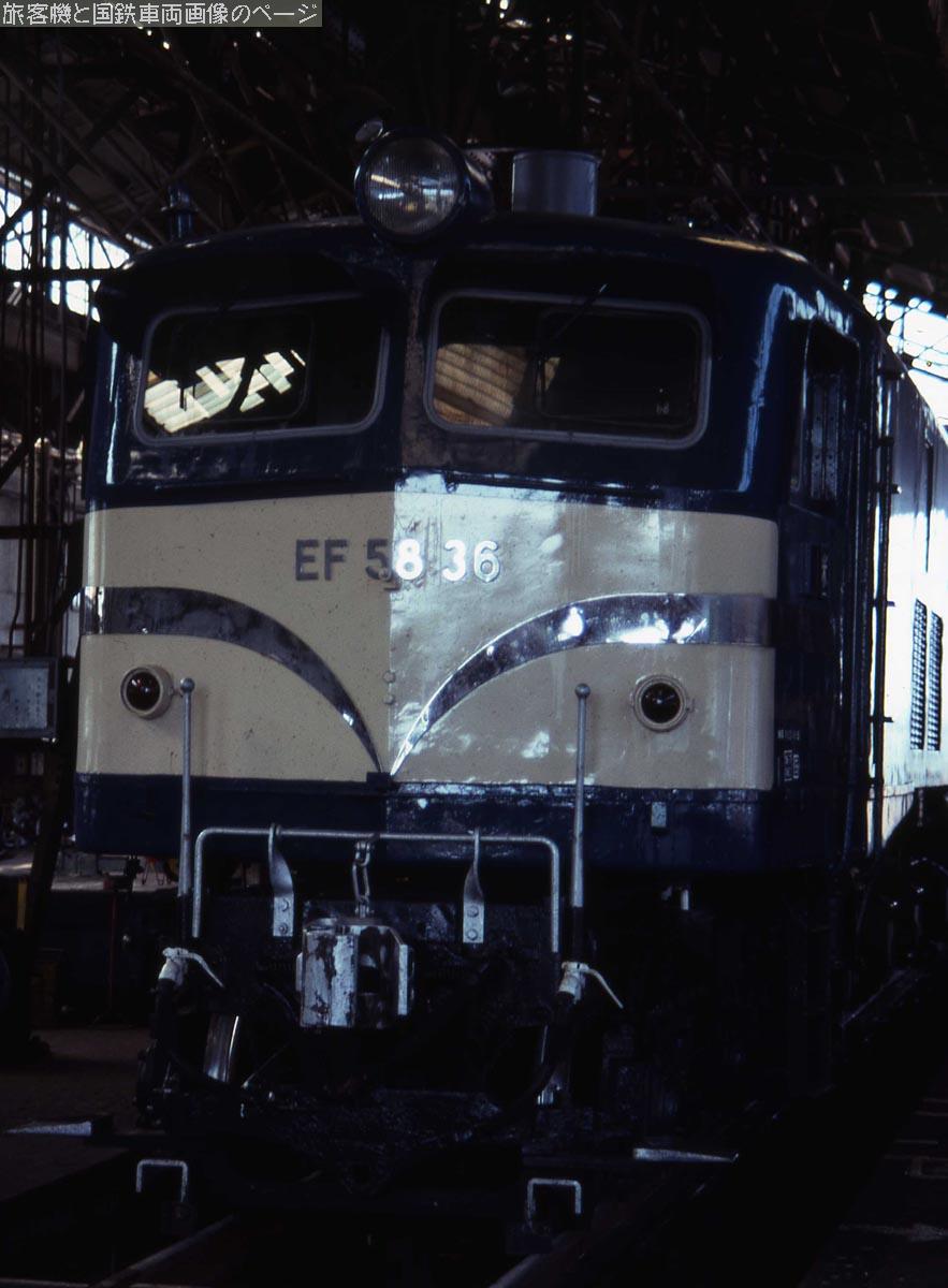EF58 36 の画像です
