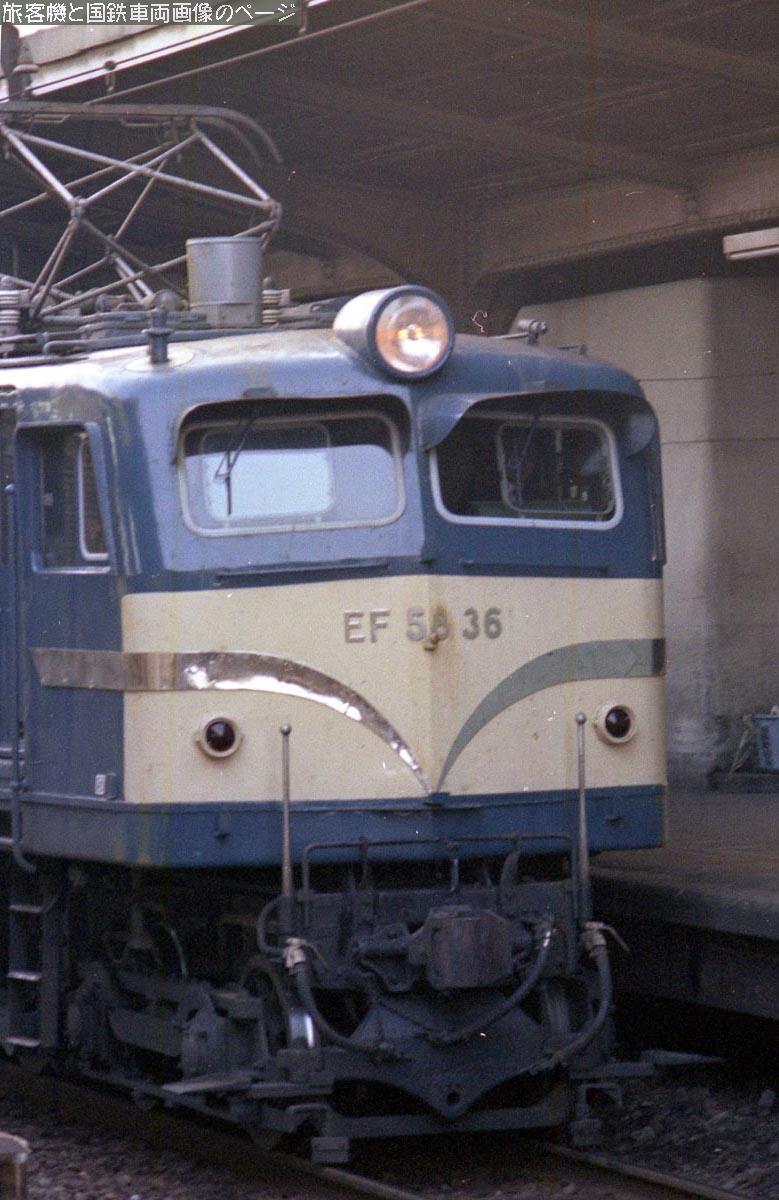 EF58 36 の画像です