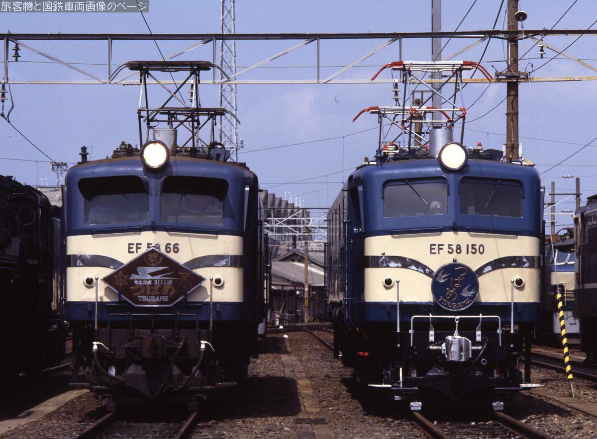 EF58 66 の画像です