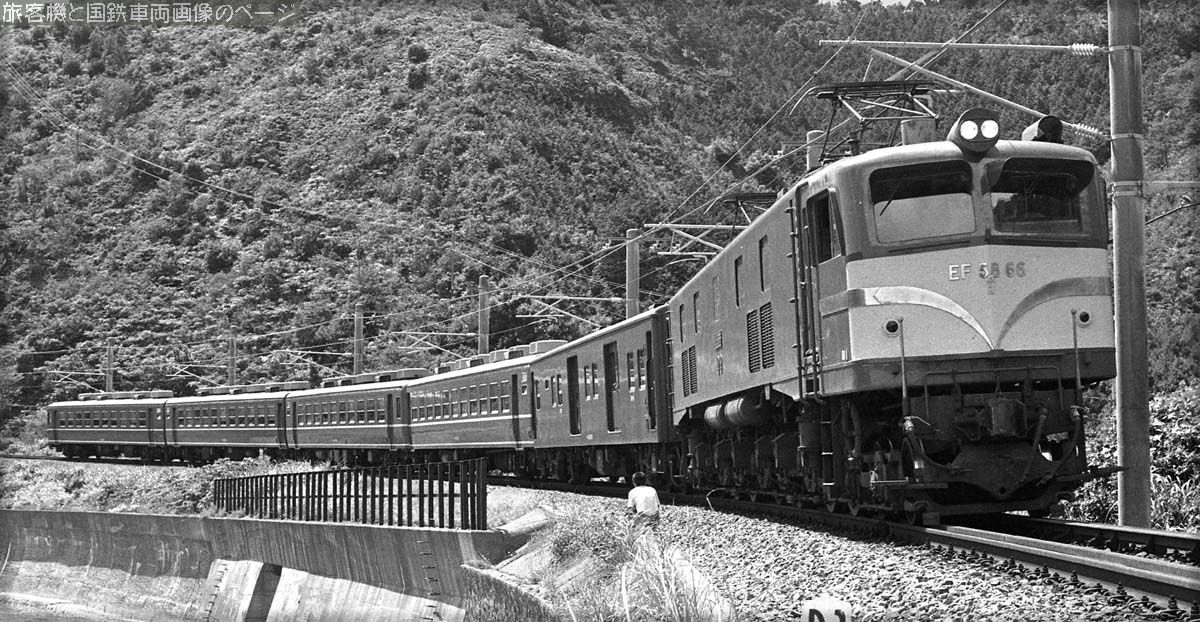 EF58 66 の画像です