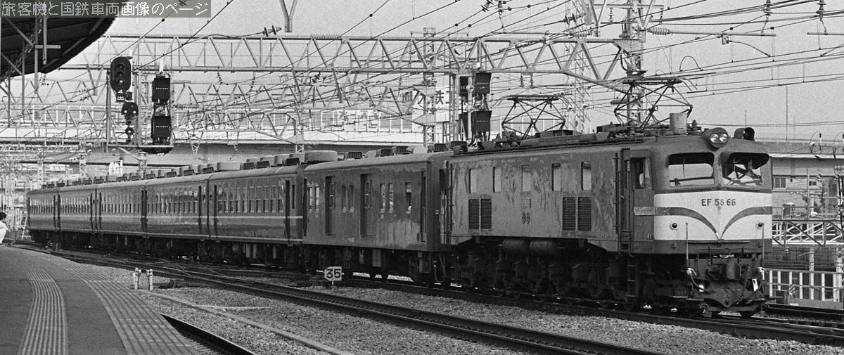 EF58 66 の画像です