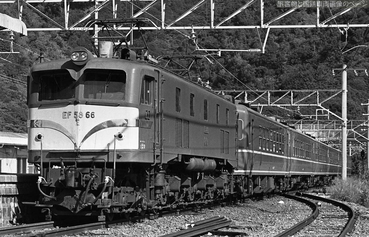 EF58 66 の画像です