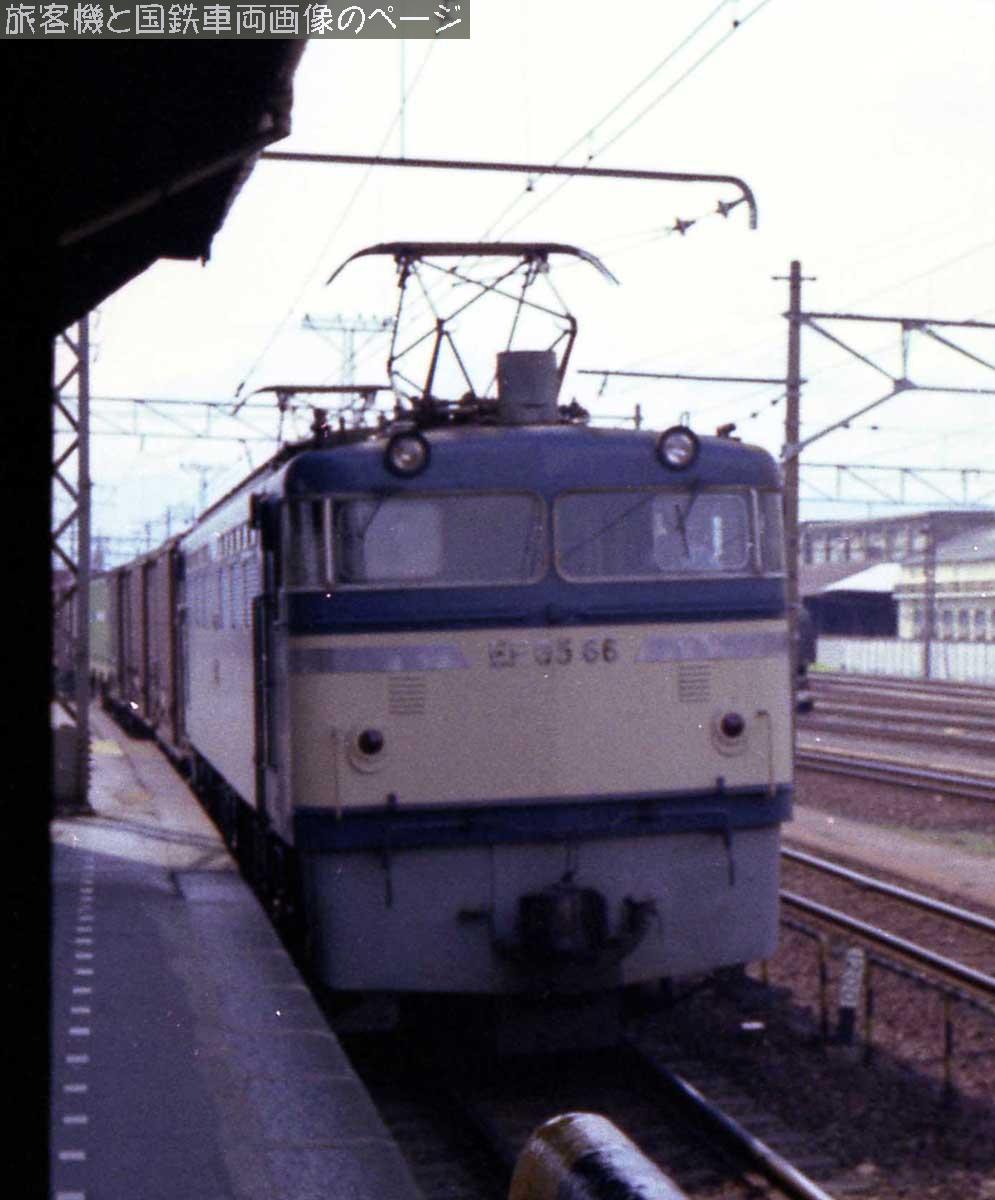 EF65 66 の画像です