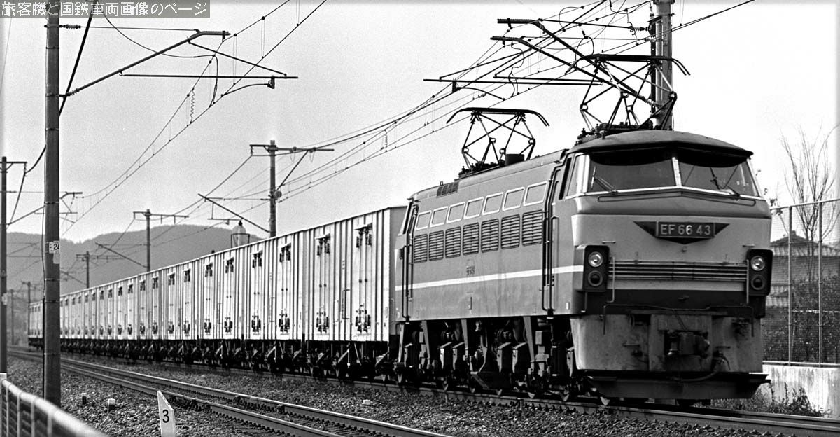EF66 43 の画像です