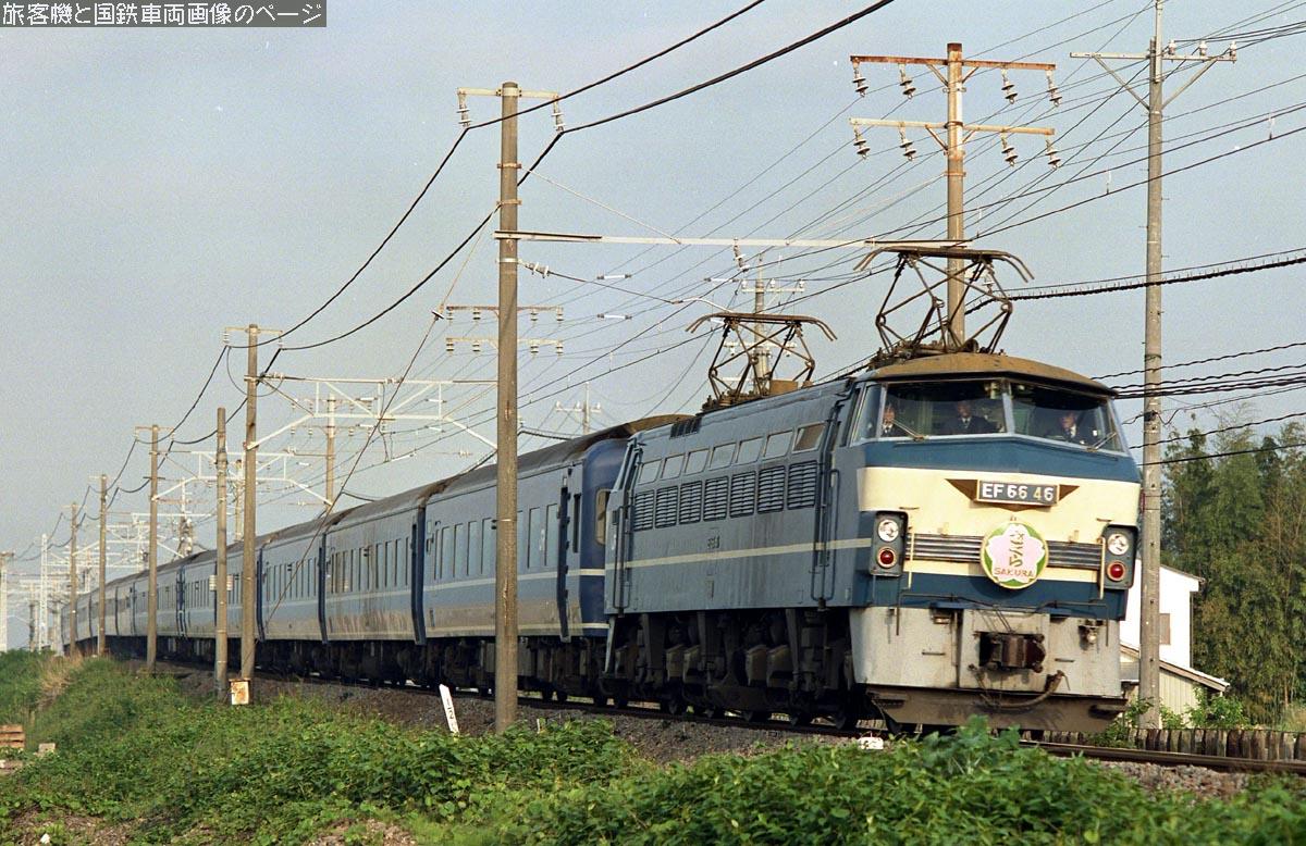 EF66 46 の画像です