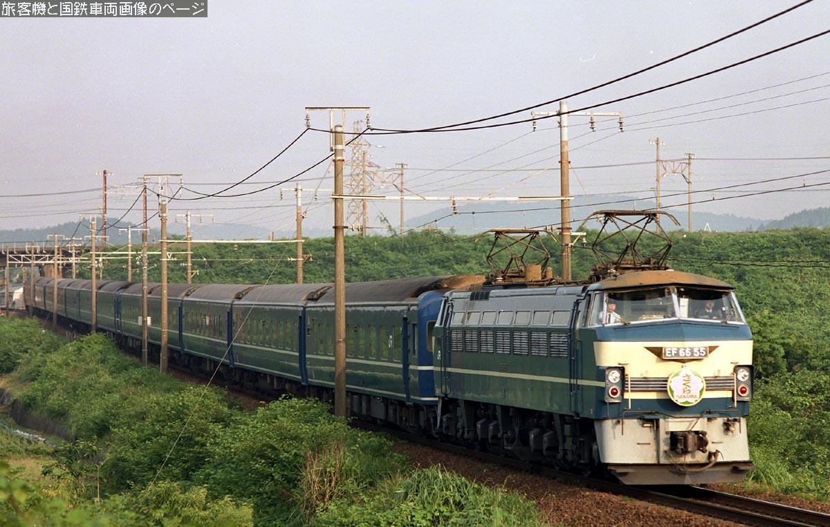 EF66 55 の画像です