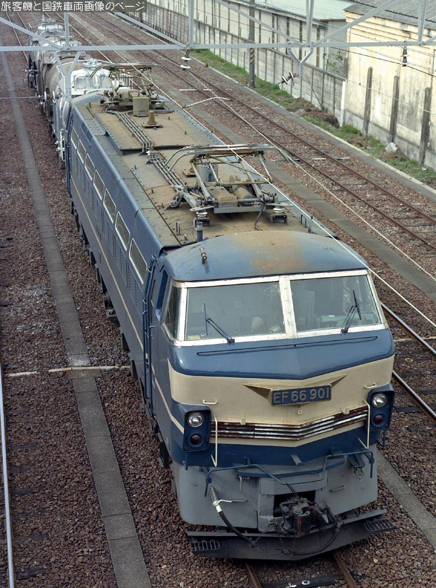 EF66 901 の画像です